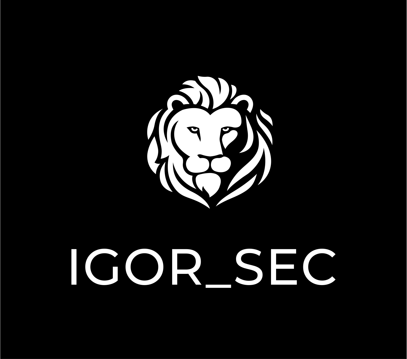 Igor Sec S Blog Hello Welcome To My Blog Where I Post Write Ups For